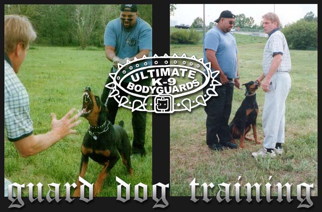 ULTIMATE K9 BODYGUARDS